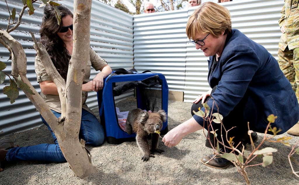 Senator Linda Reynolds - Senator for Western Australia